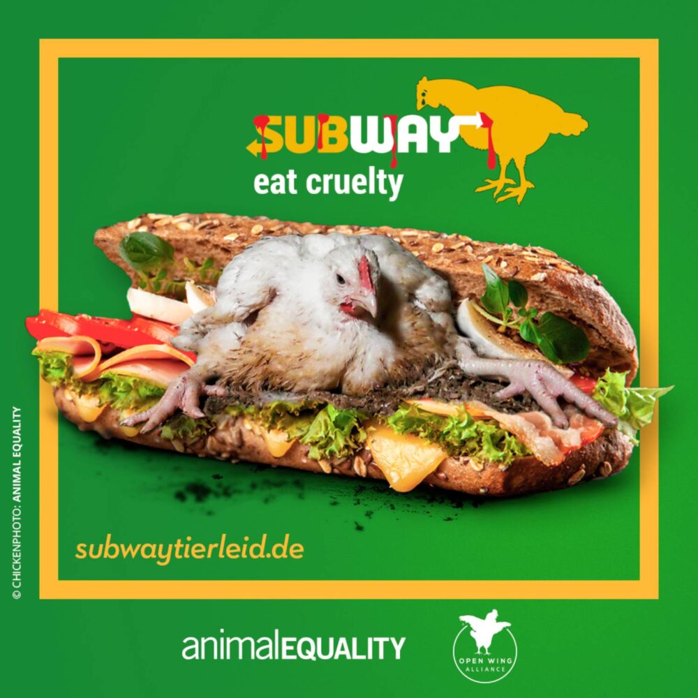Subway: Wann endlich höhere Tierschutzstandards?