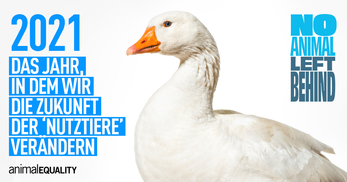 No Animal Left Behind: die Zukunft für sog. Nutztiere verändern