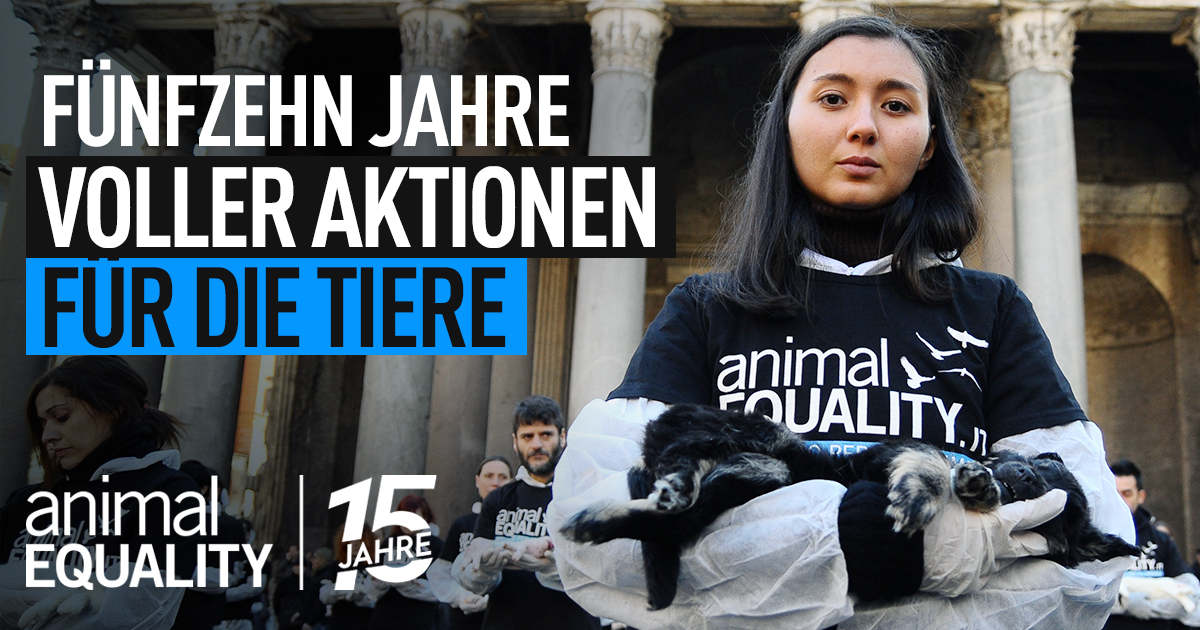 15 der wirkungsvollsten Aktionen von Animal Equality