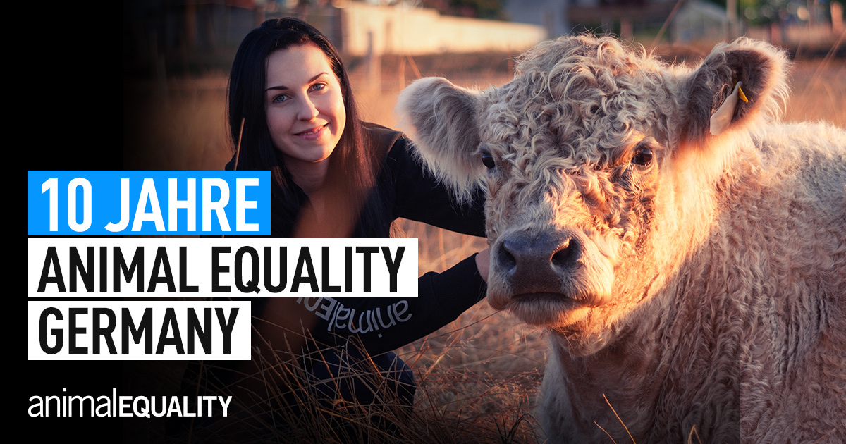 10 Jahre Animal Equality Germany | Animal Equality Germany
